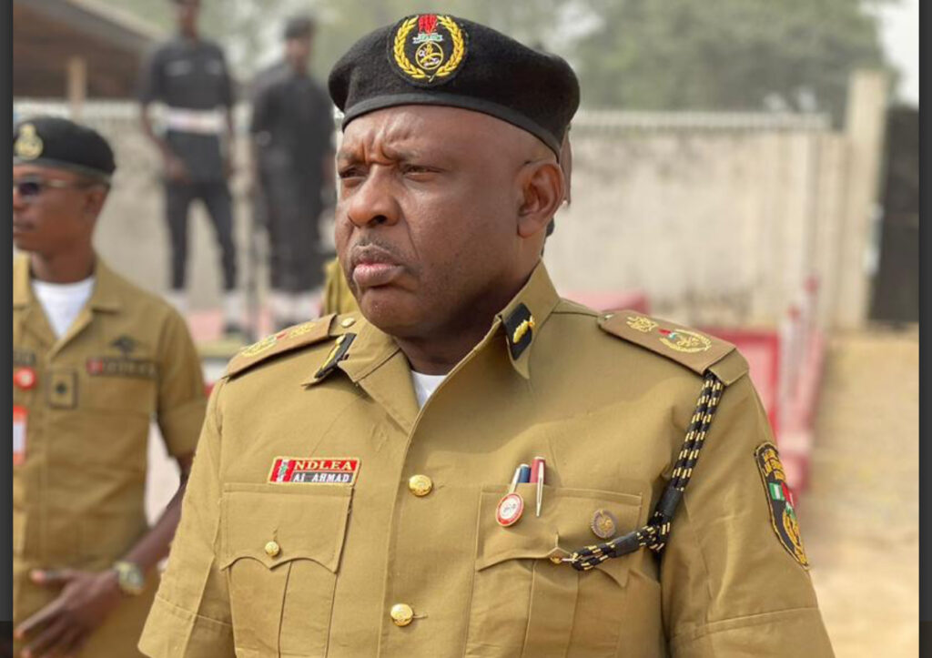 NDLEA arrests 230, seizes illicit drugs,weapons in 30-day operation ...